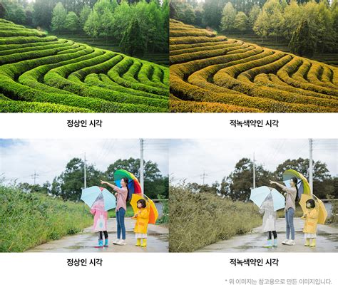 더글로리 전재준이 앓는 색약 적녹색약이 보는 세상은 어떨까 닥터나우