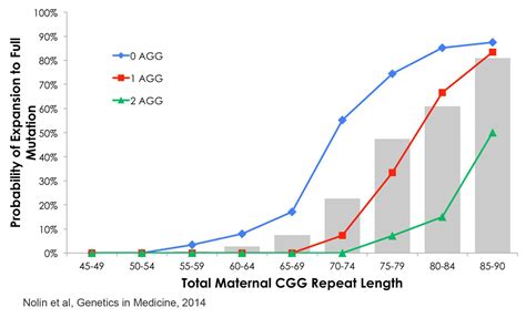 What Causes Fragile X Syndrome Understanding The Genetic And Molecular