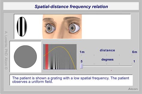 Spatial Distance Frequency Relation Cruise Medical