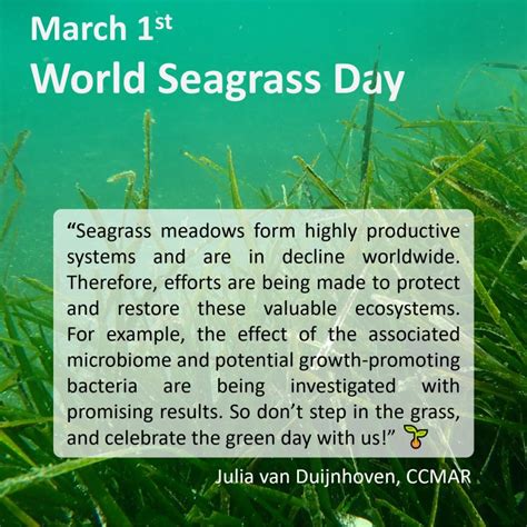 Trackingnotslacking Telemetry Seagrass European Tracking Network