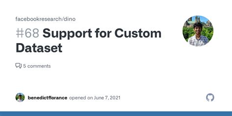 Support For Custom Dataset · Issue 68 · Facebookresearchdino · Github