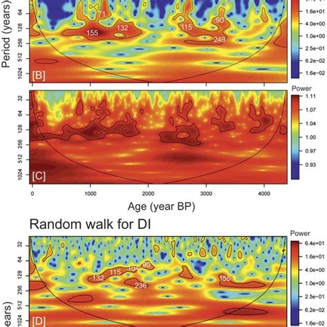 Continuous Wavelet Analysis Of A The Sunspot Reconstruction Of