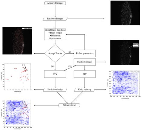 Schematic Representation Of The Procedure To Measure Both The Download Scientific Diagram