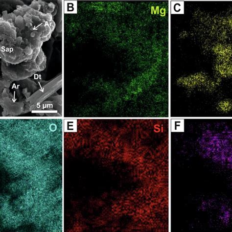 Fei Sem Micrograph And Elemental Concentration Maps Of An Download