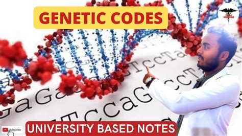 Genetic Code Codon Anticodon Recognition Wobble Hypothesis YouTube