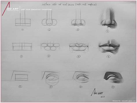Pin By Luciana Braillard On Guardado R Pido Anatomy Art Sketch Book
