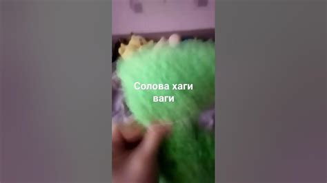 слова хаги ваги шерсть на асфальте слова пацана Youtube