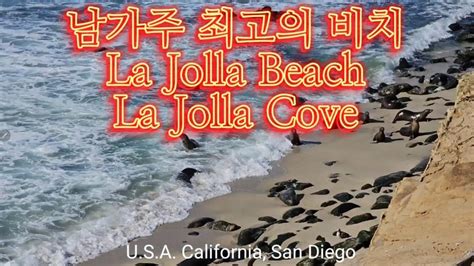 미국 오지여행 남가주 최고의 비치 La Jolla Cove Youtube