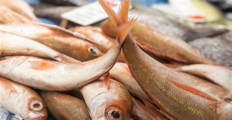 건강한 공급 날 것 다이어트 단백질 디스플레이 레시피 매일 잡기 무역 물고기 바다 바다 냄새 바다의 상업 생선 마구간 소매업 쇼핑 수산시장