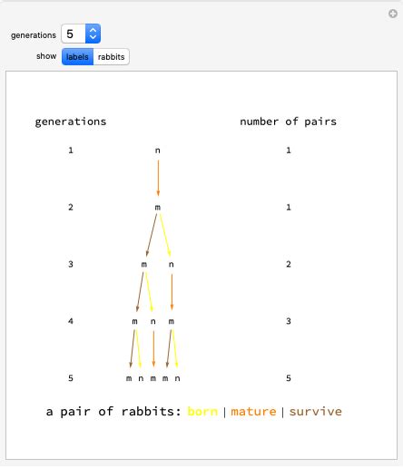 Fibonacci Determinants Wolfram Demonstrations Project