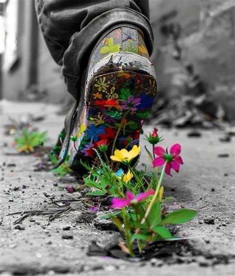 Поетична Съвсем обикновен Вълшебник Той живее на една далечна планина Точно на върха на