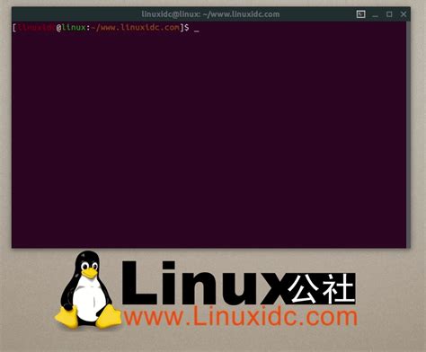 Linux命令行启动新终端12个让您震撼的linux终端命令 Csdn博客 Linux命令行启动新终端12个让您震撼的linux终端命令 Csdn博客