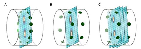 Figure 2 From Thoracic Electrical Impedance Tomography—the 2022 Veterinary Consensus Statement