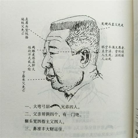 图解看面相页民间相法秘笈过三关手相面相全书天下相书无著摘要 书评 在线阅读 苏宁易购图书
