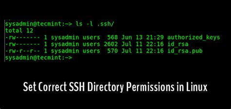 Jak Ustawić Prawidłowe Uprawnienia Do Katalogu Ssh W Linux Ilinuxgeek