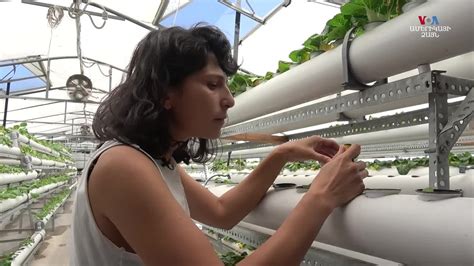 Նորագույն տեխնոլոգիաները ջերմատներում Մի կնոջ պատմություն Youtube