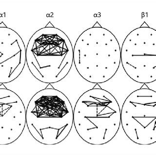 Topo Maps Of Changes Of EEG Coherence Oscillations Through The Download Scientific Diagram