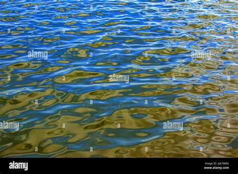 Water Ripple Texture Background Wavy Water Surface During Sunset Golden Light Reflecting In
