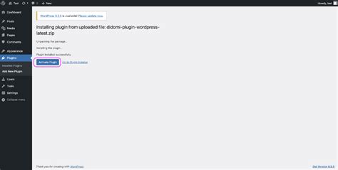 Set Up Didomi Cmp On Wordpress
