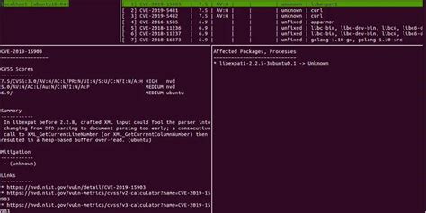 how to install and use vuls vulnerability scanner on ubuntu 18 04 lts