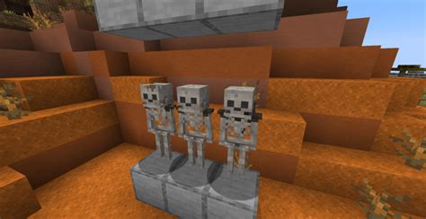 I Made A Pack That Revamps Skeletons And Adds More Variants Based On The Biome R Minecraft