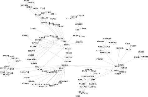 Biological Interaction Network Generated Using Cytoscape V3 8 2 For The