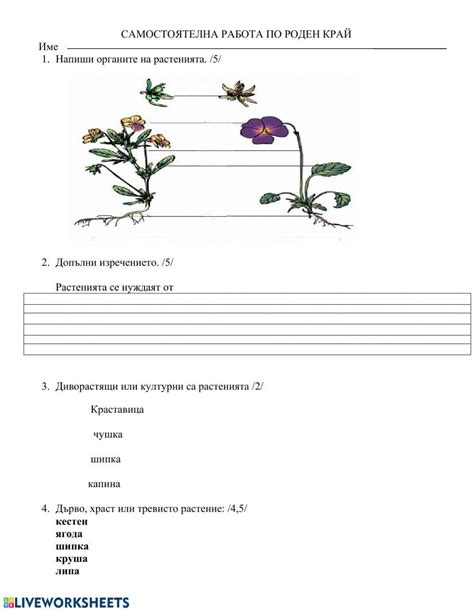 5426723 Растения и животни Петя Нинова