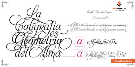 12 Font Chữ Calligraphy đẹp Mắt ấn Tượng Dành Cho Thiết Kế