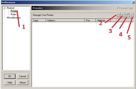 how to set up a proxy in proxycap