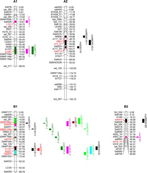 The Illustrations Of Conditional And Unconditional Consensus Qtls