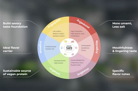 Nathan Nguyễn On Linkedin Angelyeast Yeast Yeastextract Msgsubstitute Lesssalt