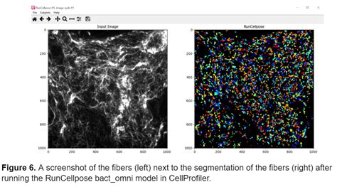 Customizing A Model For Fiber Segmentation Part I Investigating