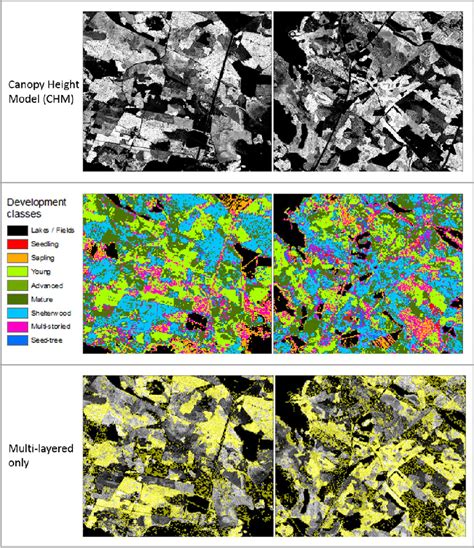 Examples Of Resulting Maps Stratified By Supervised Classification