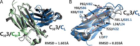 structural alignments using the align function of pymol a
