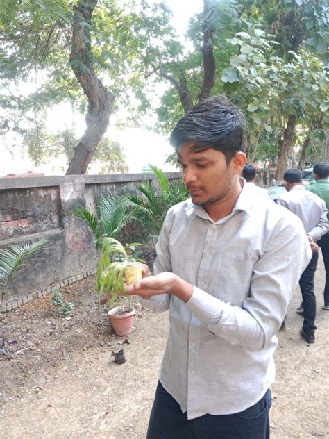 Saurabh Shukla On Linkedin वृक्ष धरा के भूषण है करते दूर प्रदूषण हैं ।। Placement Cell C