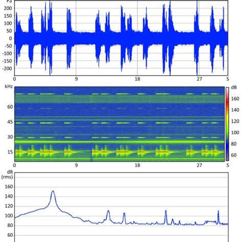 Representative Waveform Top Spectrogram Middle And Power Spectrum