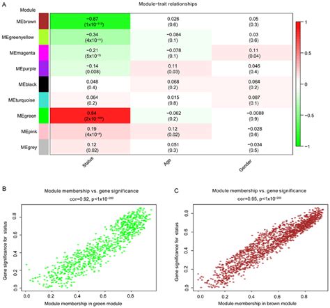 Correlation Of Key Modules With Clinical Stage A Heatmap Of The