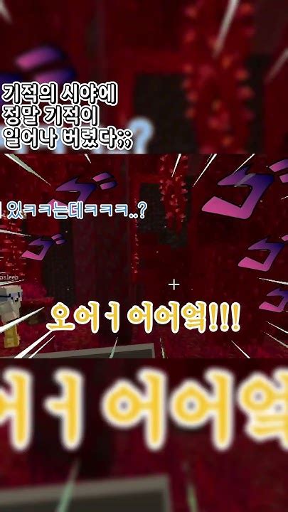 그들이 피글린 요새를 찾는 방법 Shorts Youtube