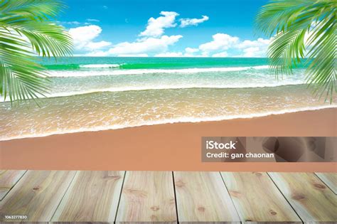 흐린된 바다와 코코넛 나무 배경제품 디스플레이 몽타주에 대 한 빈 준비 나무 테이블의 상단 여름에 해변의 개념 0명에 대한 스톡 사진 및 기타 이미지 Istock