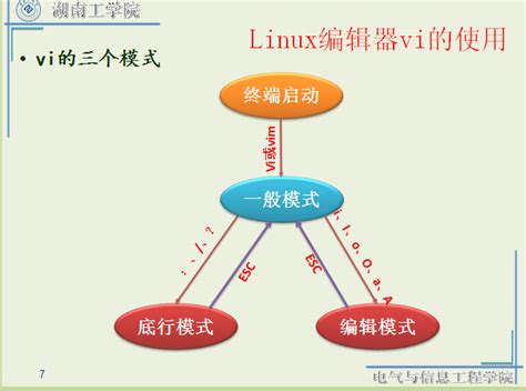 编辑器vi及vim的使用 蓝桥云课