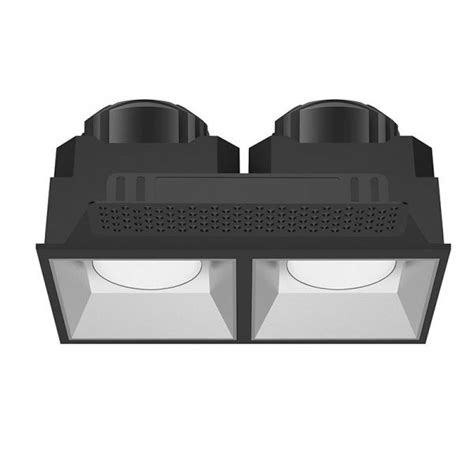 Commercial Led Double Downlights Rectangular Double Lamps Pin Hole