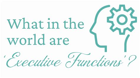 What In The World Are ‘executive Functions Barb Hubbard Coaching