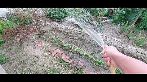 Dingin Anginya Kenceng Banget Metik Buah Naga Lnjut Siram2 Syuran 👍🫶💪 Tkwtaiwan Youtube