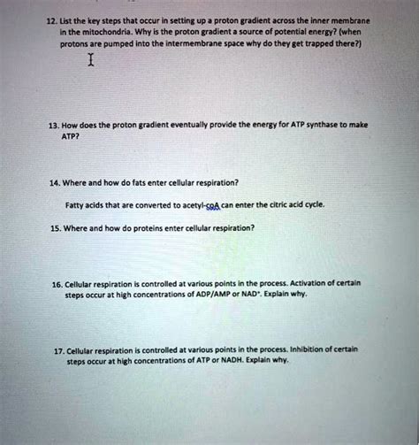 Solved 12 List The Key Steps That Occur In Setting Up A Proton Gradient Across The Inner