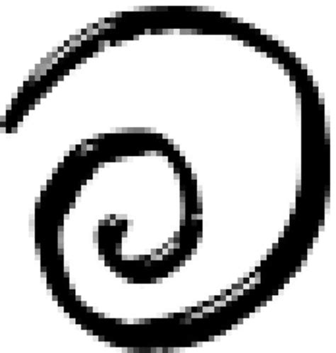 notion backups medium