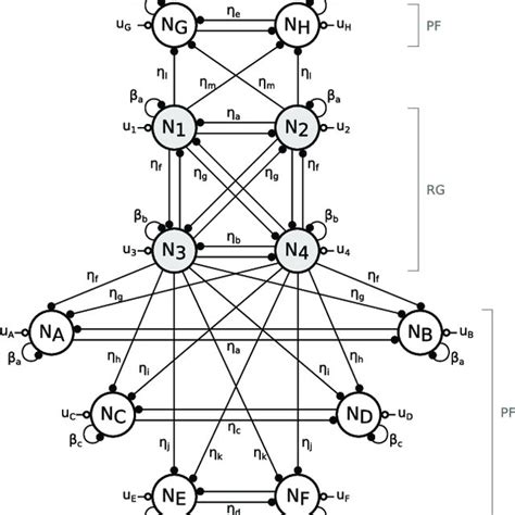 The Central Pattern Generator Cpg Network Is Built By Assembling Two Download Scientific