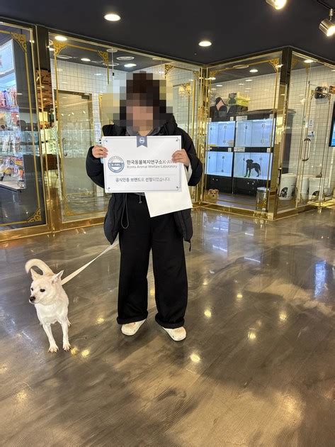 믹스견 소보루 프렌치불독크기 빠삐용크기 파피용크기 사모예드크기 스피츠크기 시바견크기 시베리안허스키크기 시츄크기 요크셔테리어크기 웰시코기크기 이탈리아그레이하운드크기 치와와크기