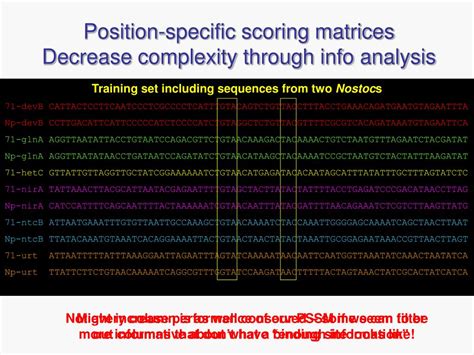Ppt Position Specific Scoring Matrices Decrease Complexity Through