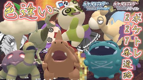 【ポケモンbdsp】パッチールが大量発生したから色違い欲しいじゃあついでに227番道路の色違いポケトレで全部ゲットしちゃお♡【ゆっくり実況