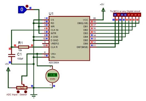 Adc0804 Adc Datasheet Schematic Pinout
